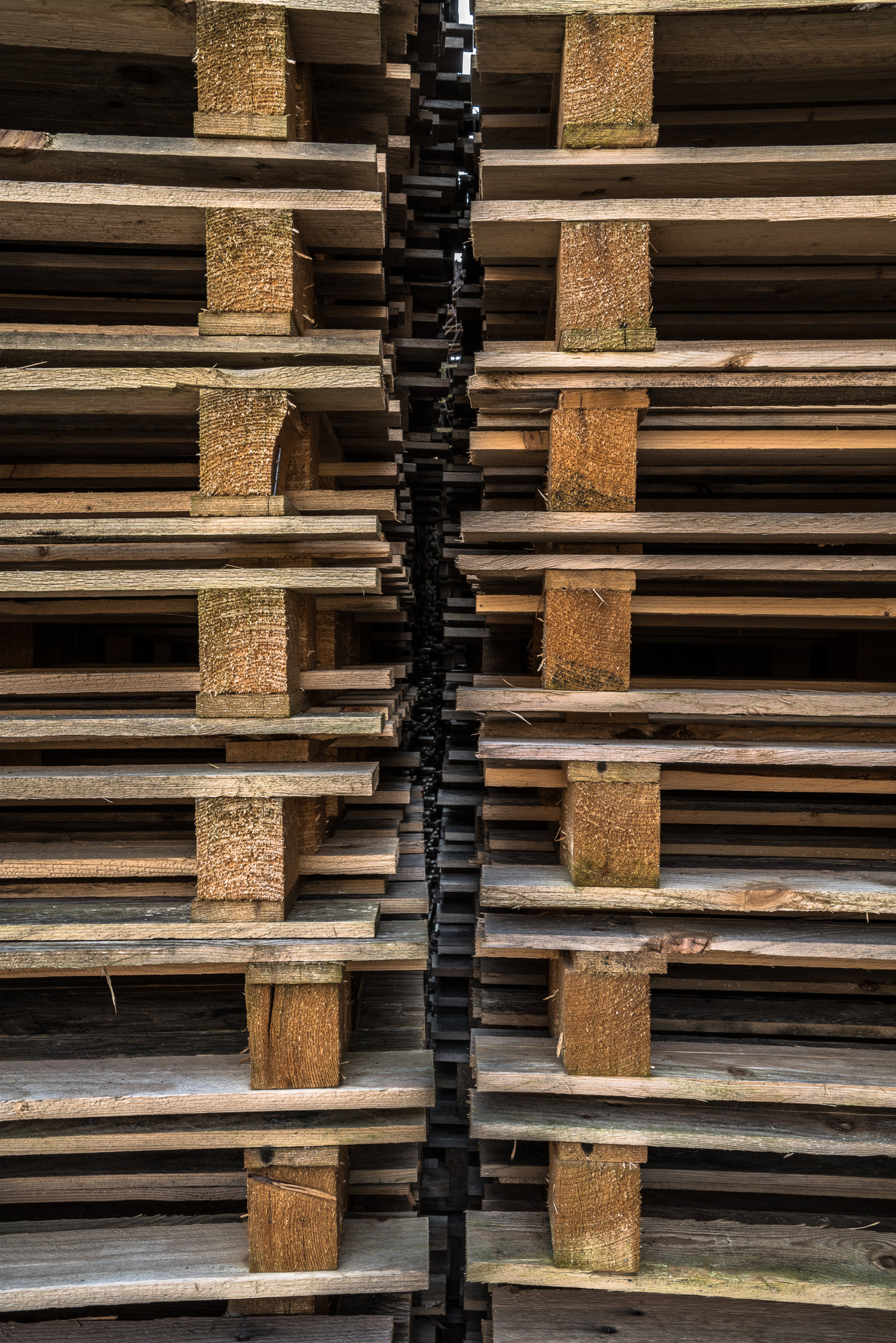 Home - Legno Pallet Servizi